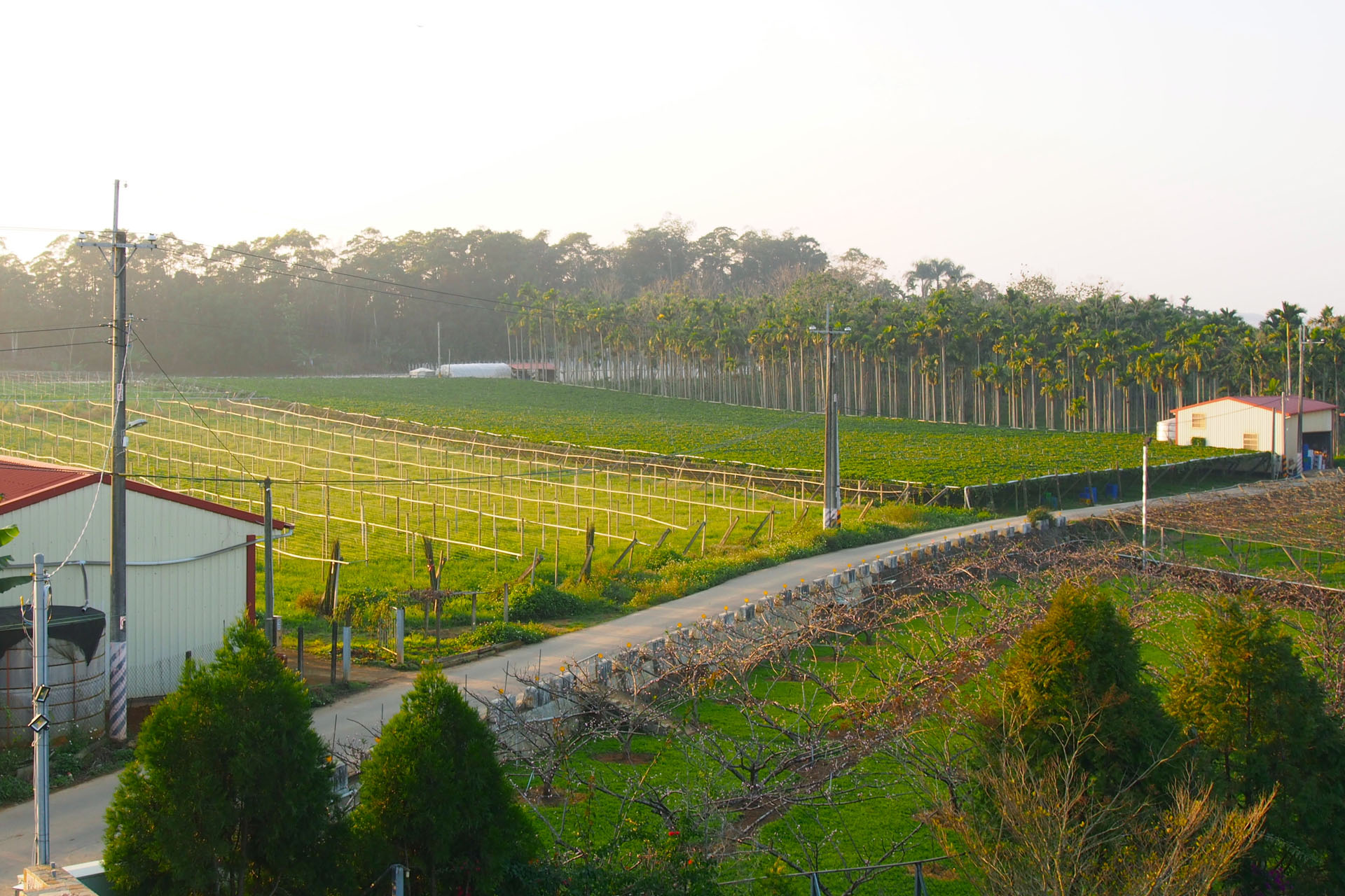 ISSUE 29｜Dear b&b 帶你住進台灣之美